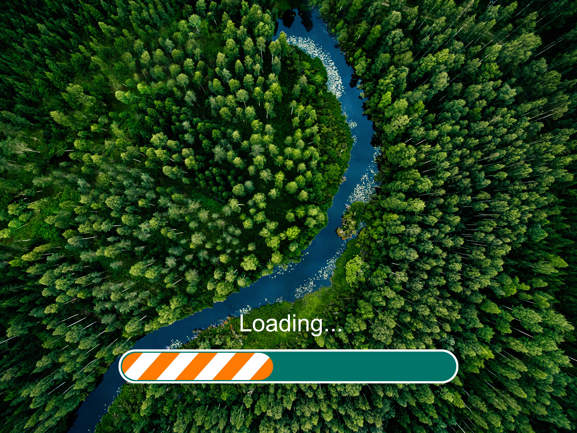 LANDSCAPE HUNT – Life Foliage